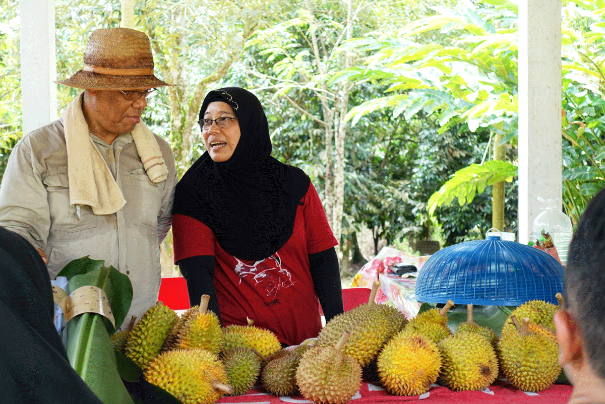 These Ex-teachers Loved Durians So Much, They Started A Farm - RICE